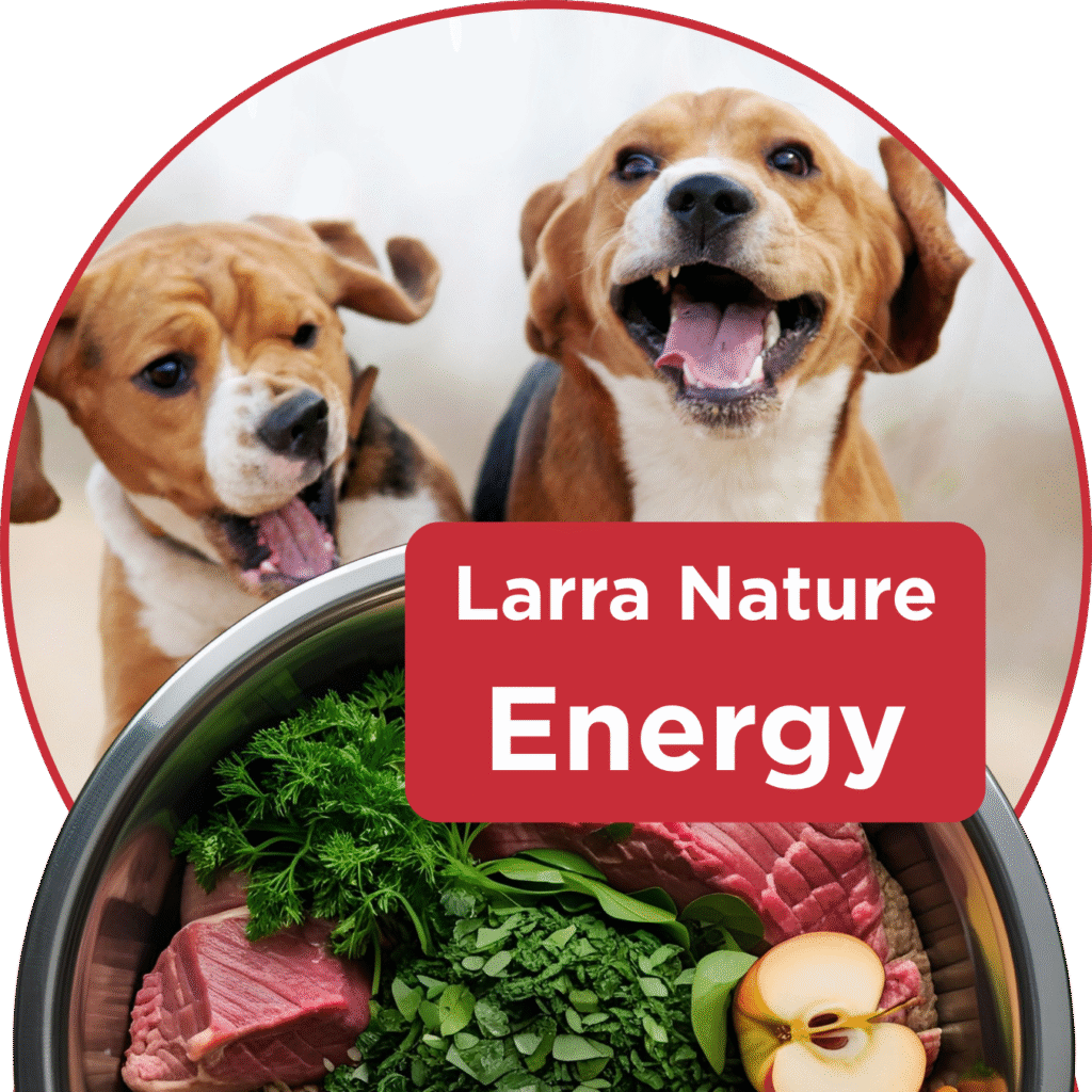 Larra Nature Energy - Larra Nature